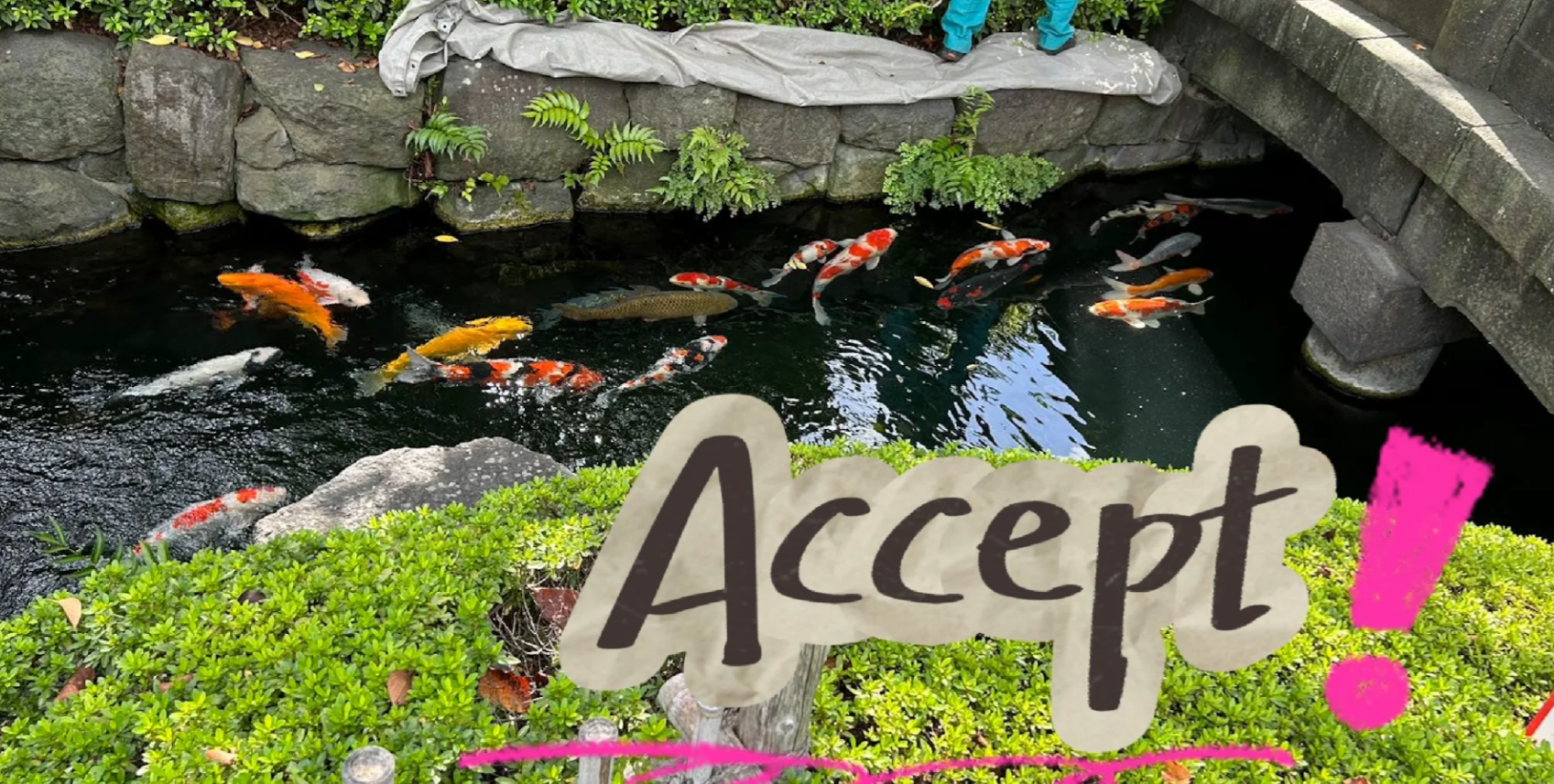 大修、小修、投稿返修都会接收！accept！！ - 光速医学SCI创作训练营 - 孟德尔随机化