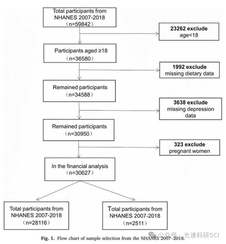 Nhanes推荐：饮食指标汇总！ - 光速医学SCI创作训练营