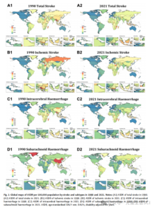 新出炉的1区9.6分GBD文章解读~ - 光速医学SCI创作训练营 #SeparatorGBD -脑卒中 -健康不平等 -时间趋势