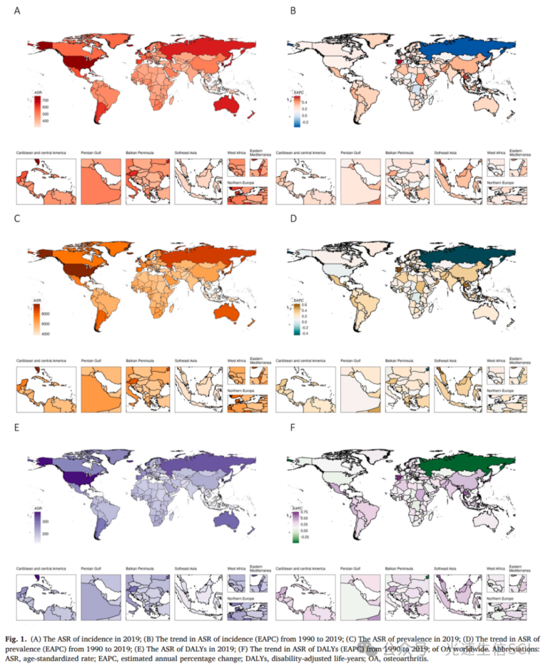 1区12.5分GBD文章解析 - 光速医学SCI创作训练营 -骨关节炎 -全球疾病负担 -跨国不平等 - DALYs